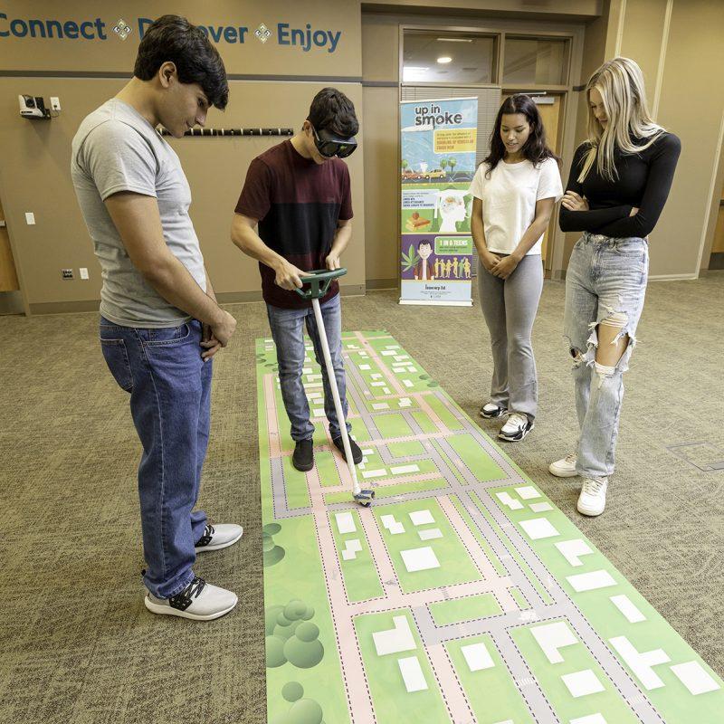 Fatal Vision Marijuana Simulation Goggles