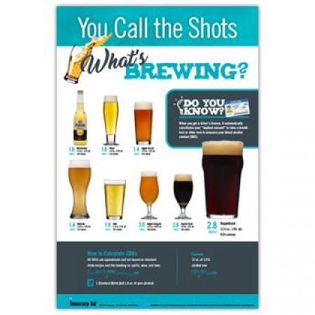 You Call The Shots Poster Pack | Alcohol Abuse Prevention Program